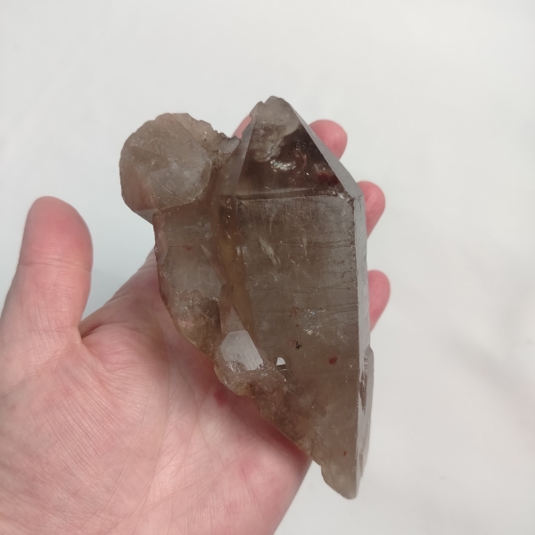 Elestial Smoky Quartz Rainbow Master Record Keeper Natural Point ...